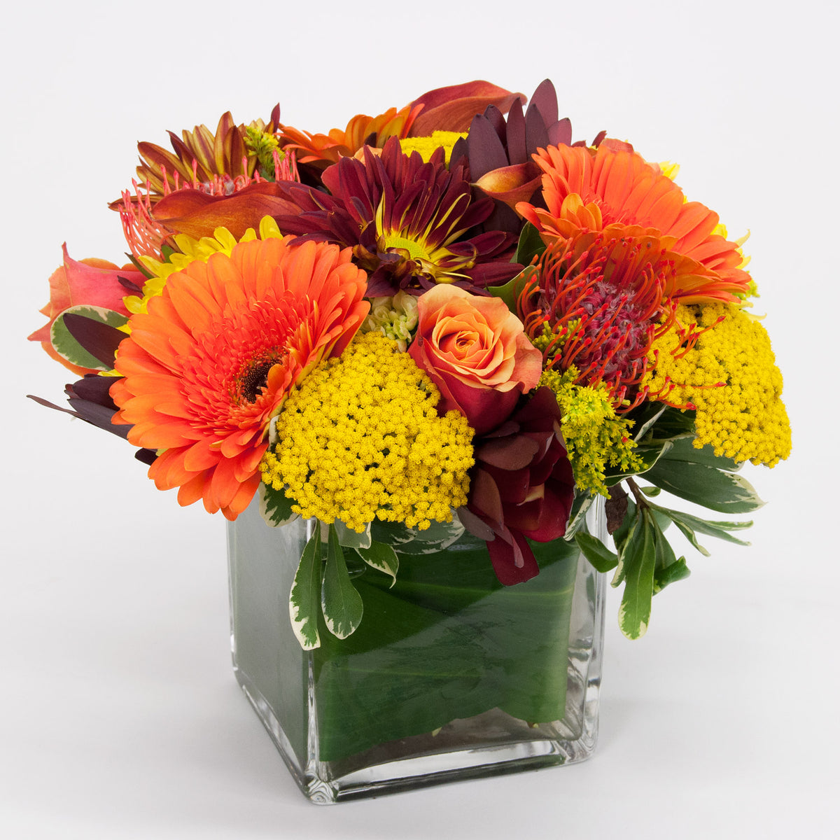 Happy Fall Cube – Brattle Square Florist